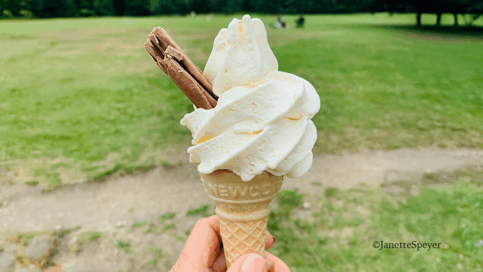 A Scoop Of History: The Yummy Story of Ice Cream - foodculturebites.com